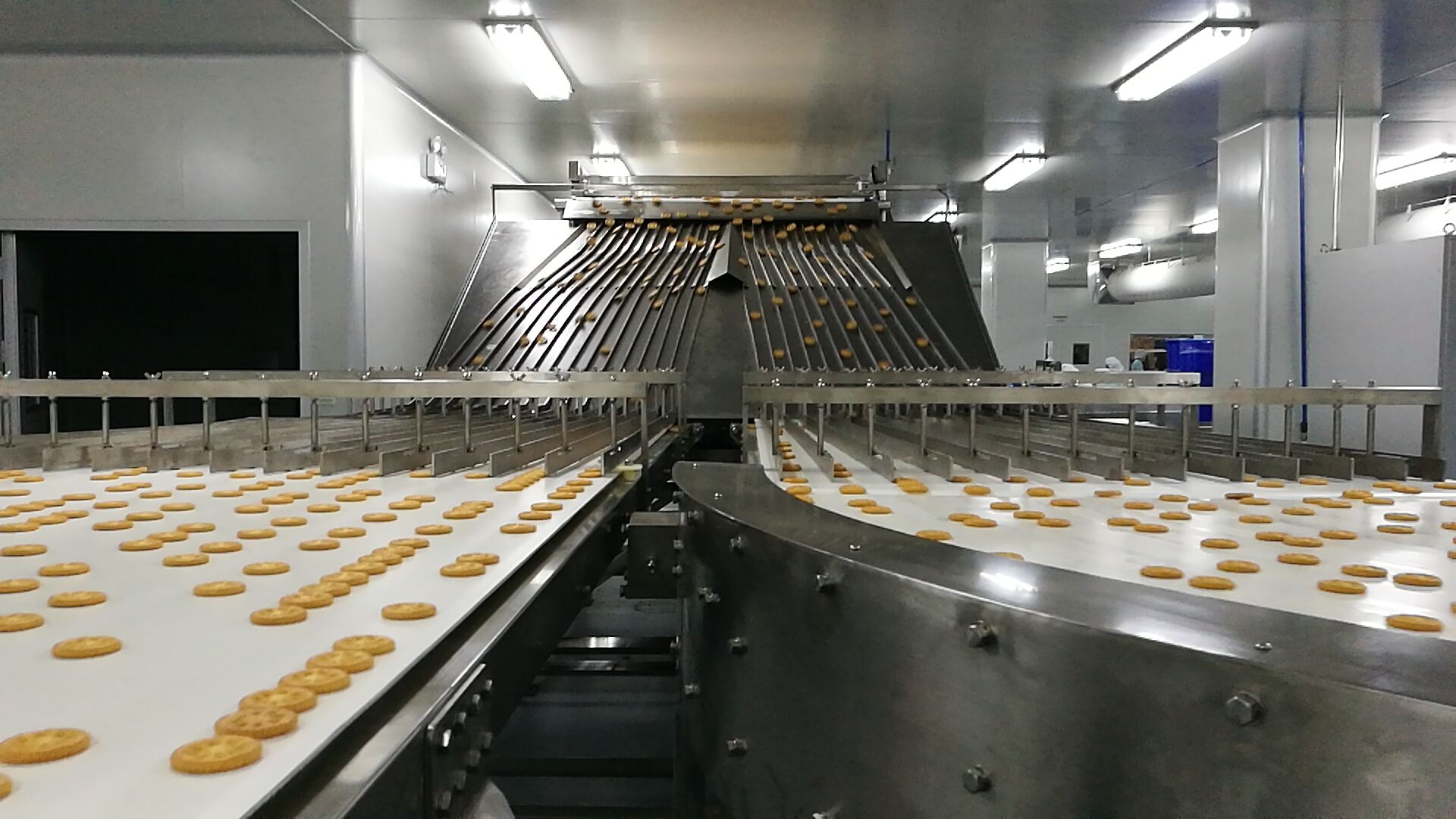 Biscuit Stacking After Cooling In Biscuit Manufacturing, Biscuit ...